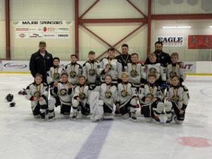 Bonnyville Minor Hockey Association – Save Time Communicating with Your ...
